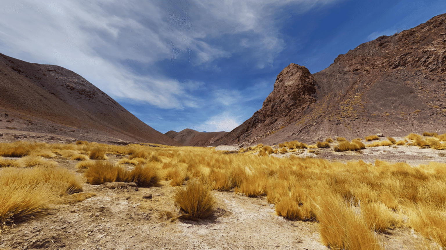 Parque Nacional Llullaillaco
